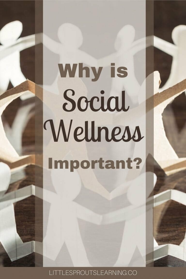 Why is Social Wellness Important?